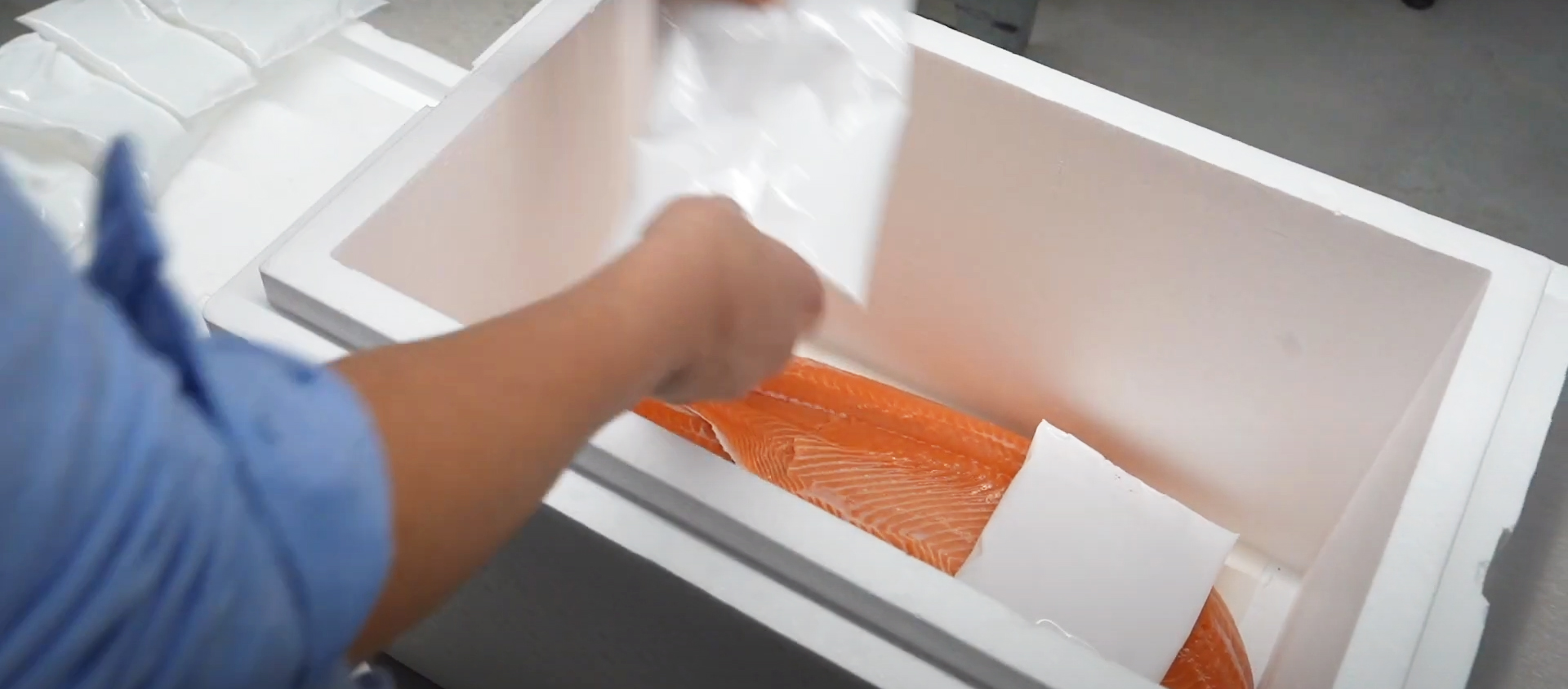 EPS styrofoam boxes | Coolpack