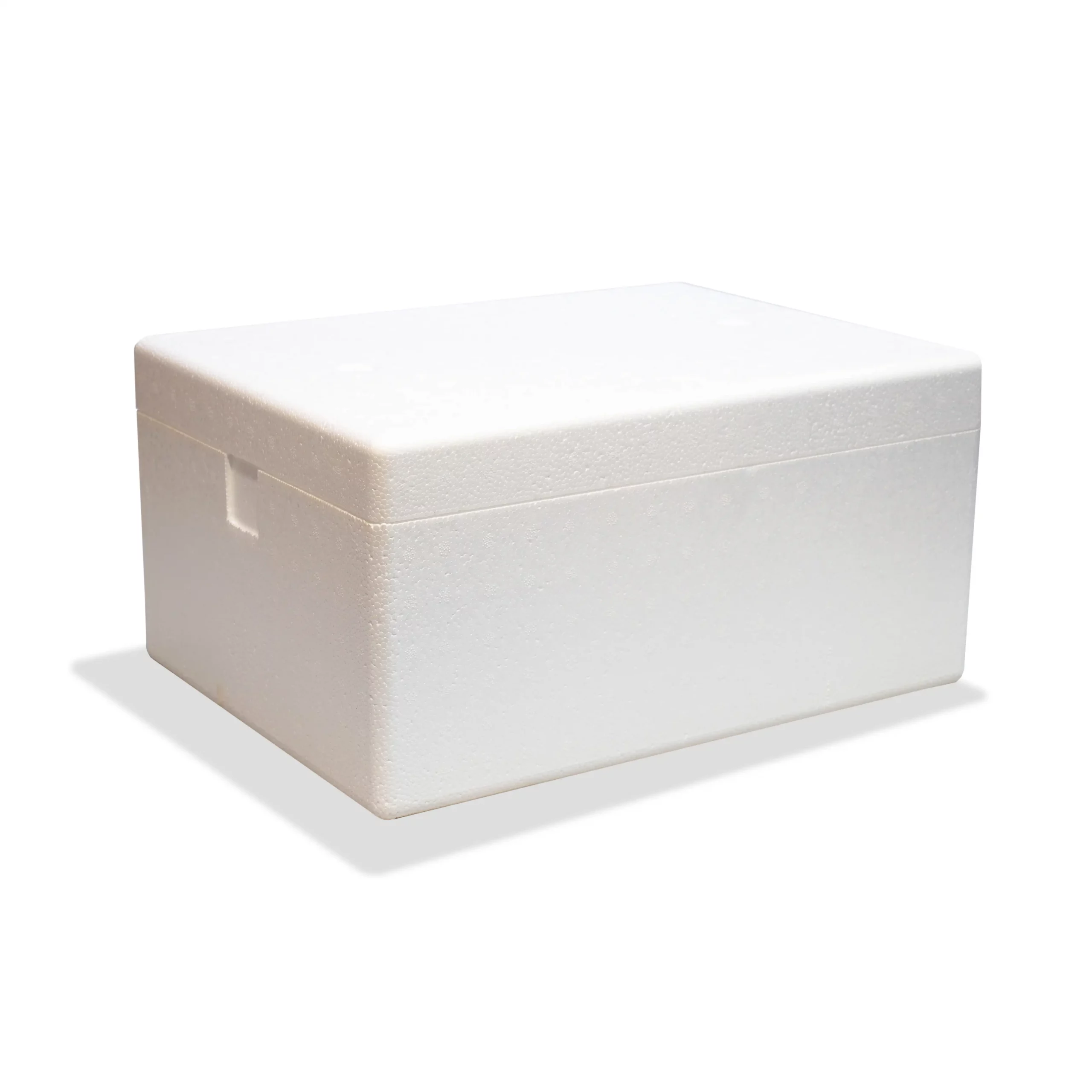 EPS Boxes with Lid | Coolpack